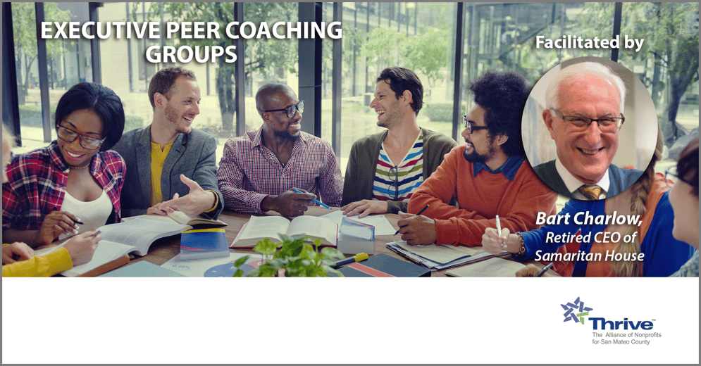 Executive Peer Coaching